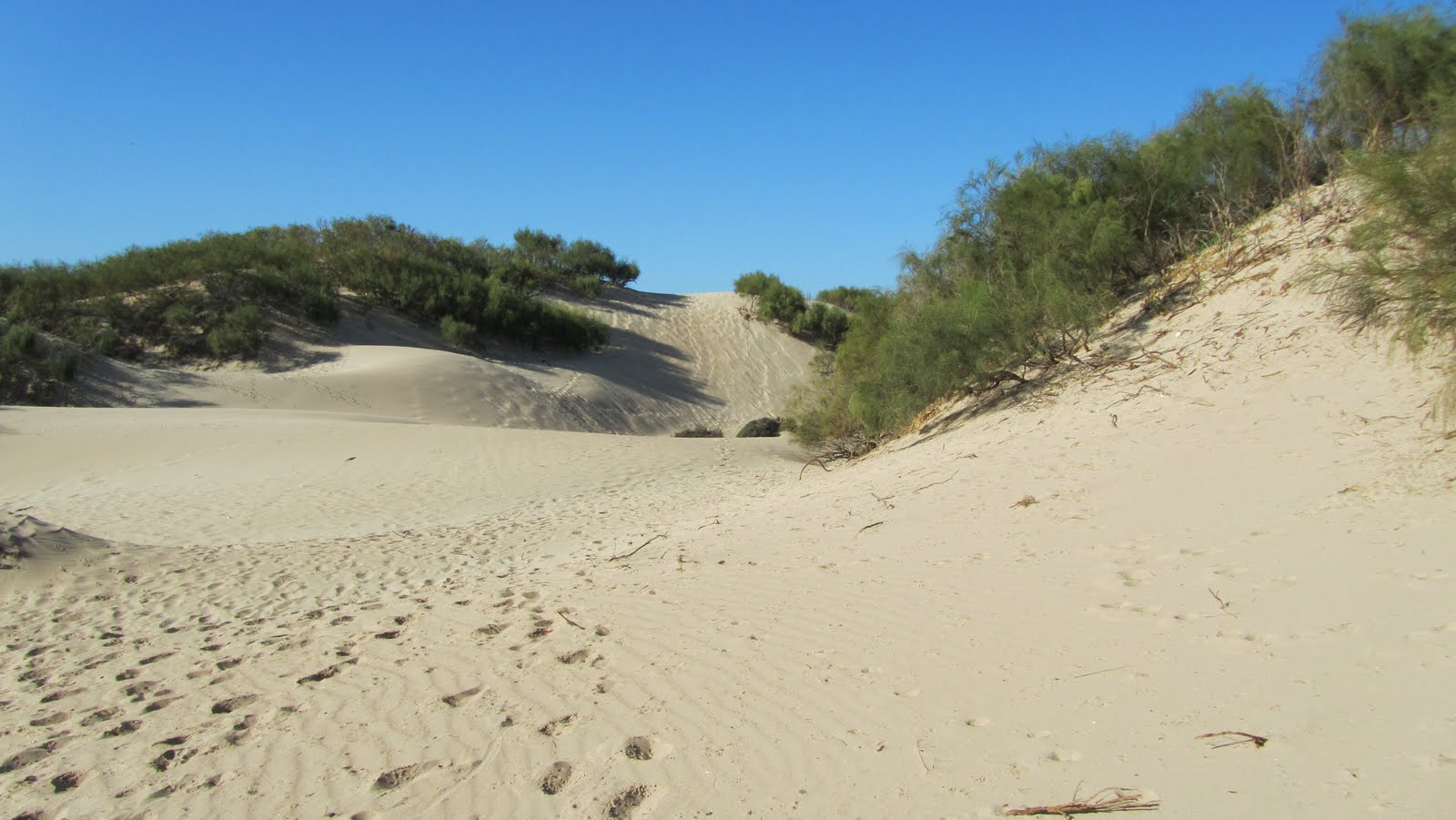 El gran tesoro las Dunas de Bani y toda República Dominicana - InfoRD